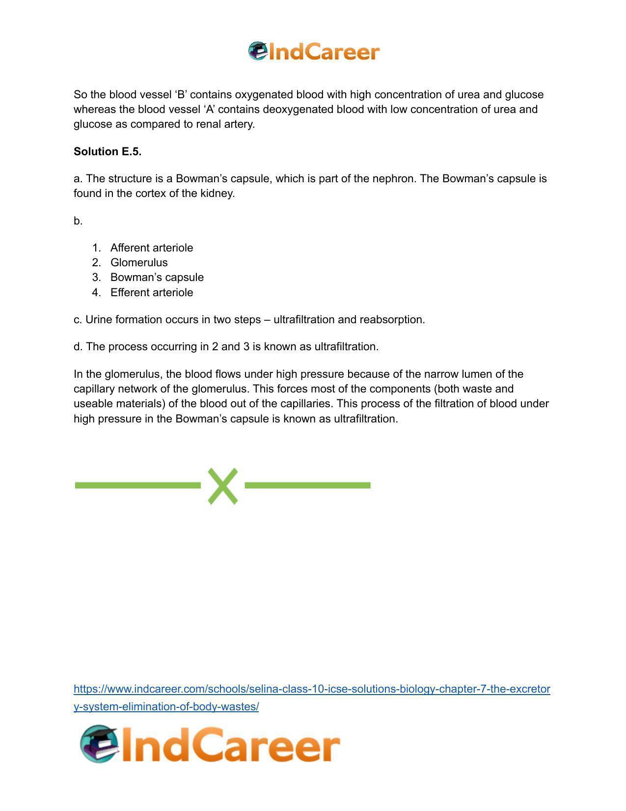Selina Class 10 ICSE Solutions Biology : Chapter 7- The Excretory ...