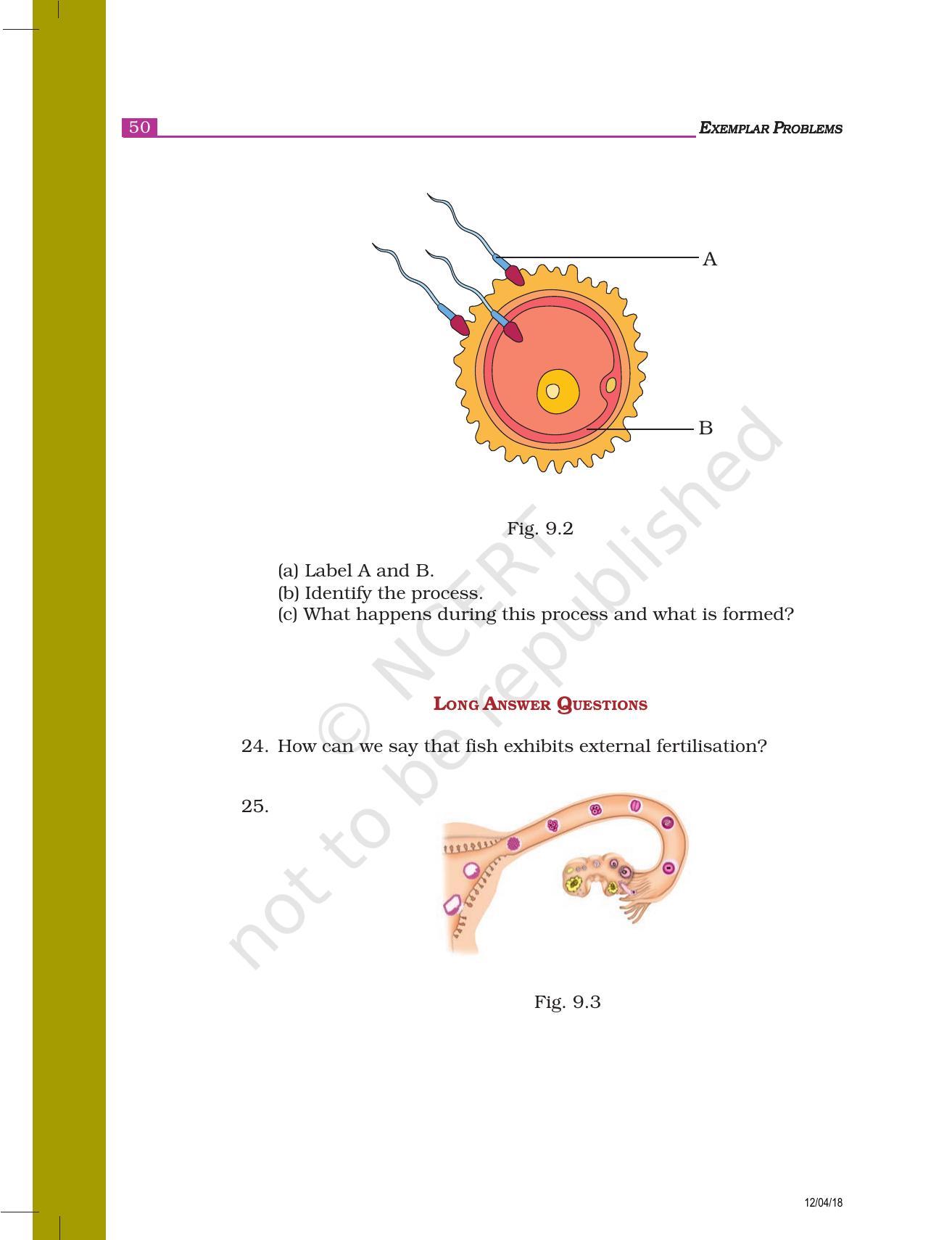 NCERT Exemplar Book for Class 8 Science Chapter 9- Reproduction in Animals