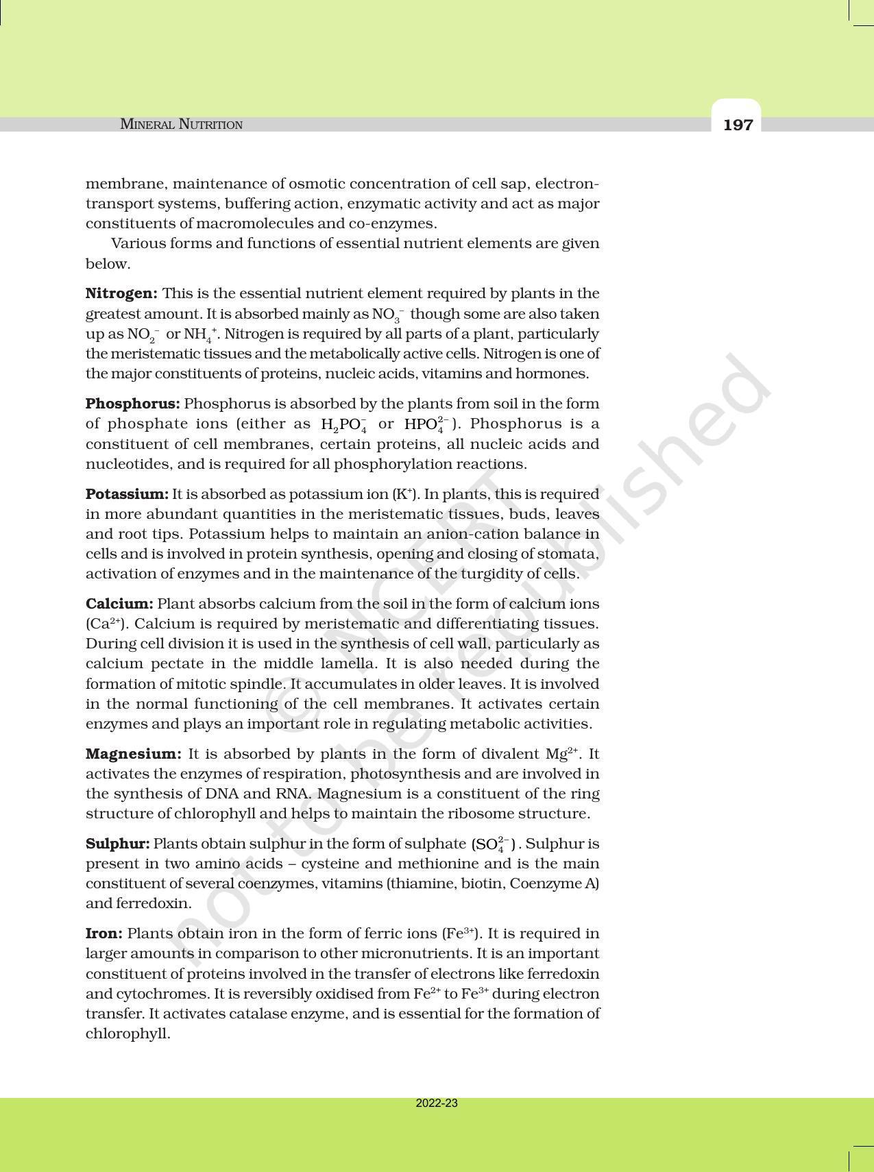 NCERT Book for Class 11 Biology Chapter 12 Mineral Nutrition