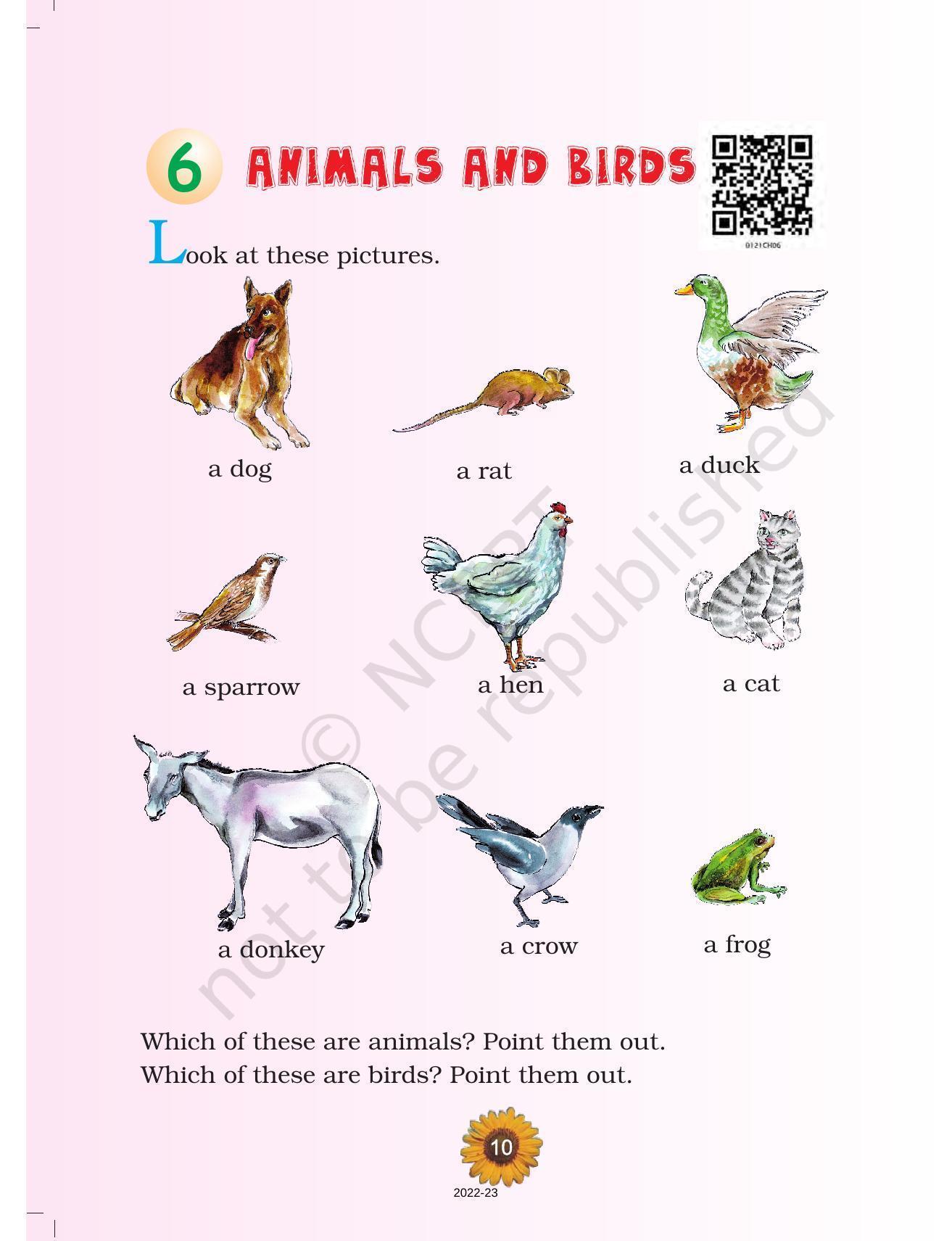 Ncert Book For Class 1 English Raindrop Unit 6 Animals And Birds