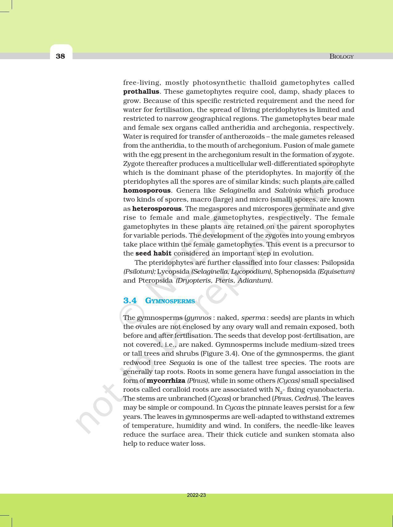 Ncert Book For Class 11 Biology Chapter 3 Plant Kingdom