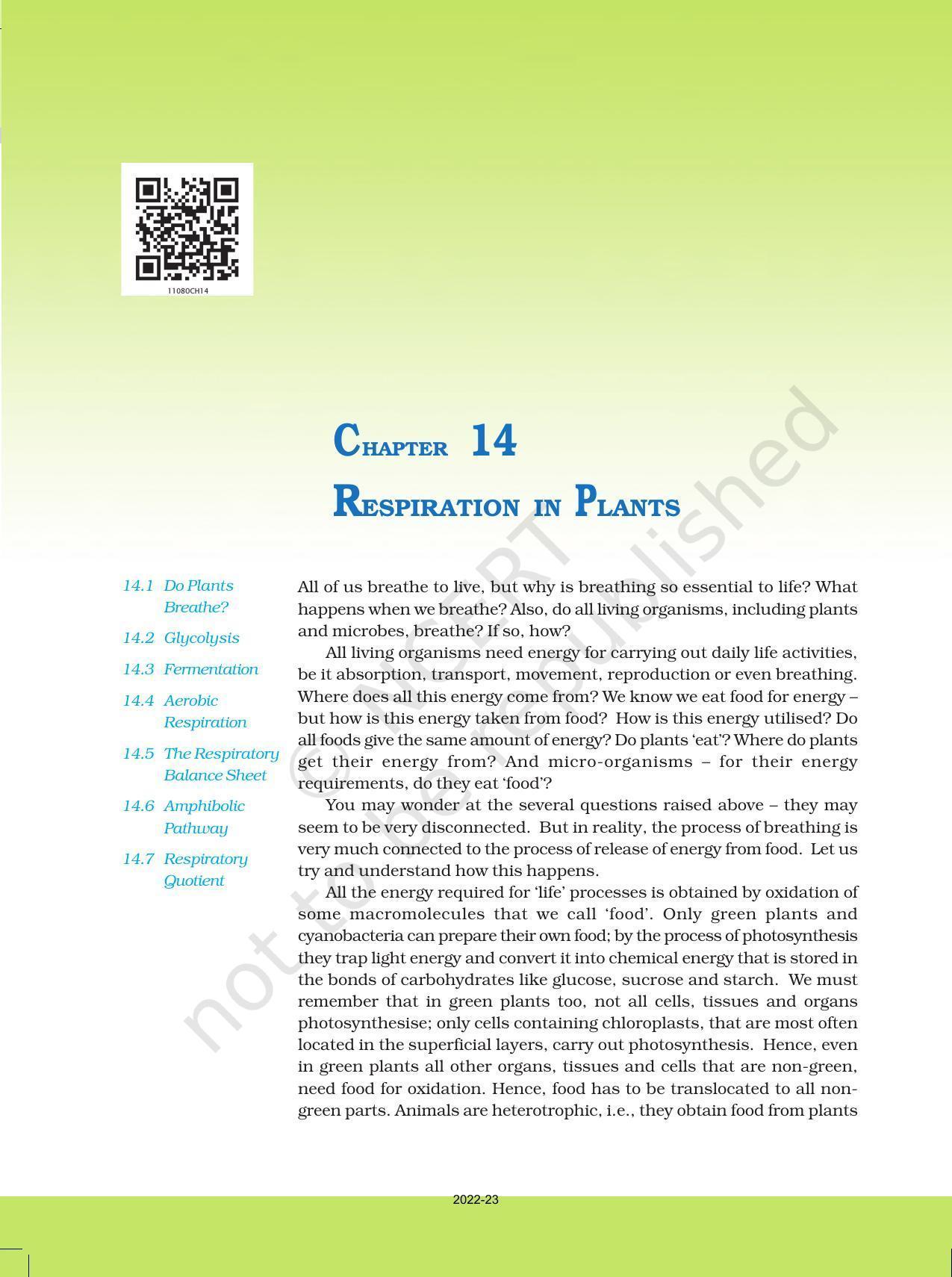 Ncert Book For Class 11 Biology Chapter 14 Respiration In Plants