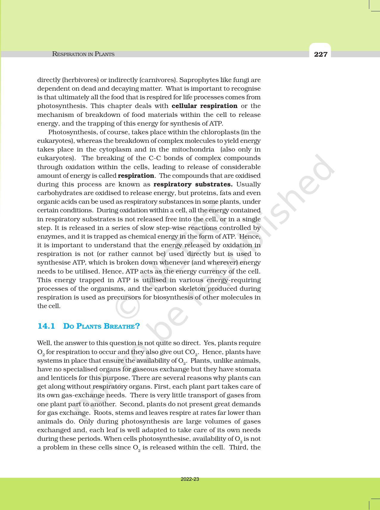 NCERT Book for Class 11 Biology Chapter 14 Respiration in Plants