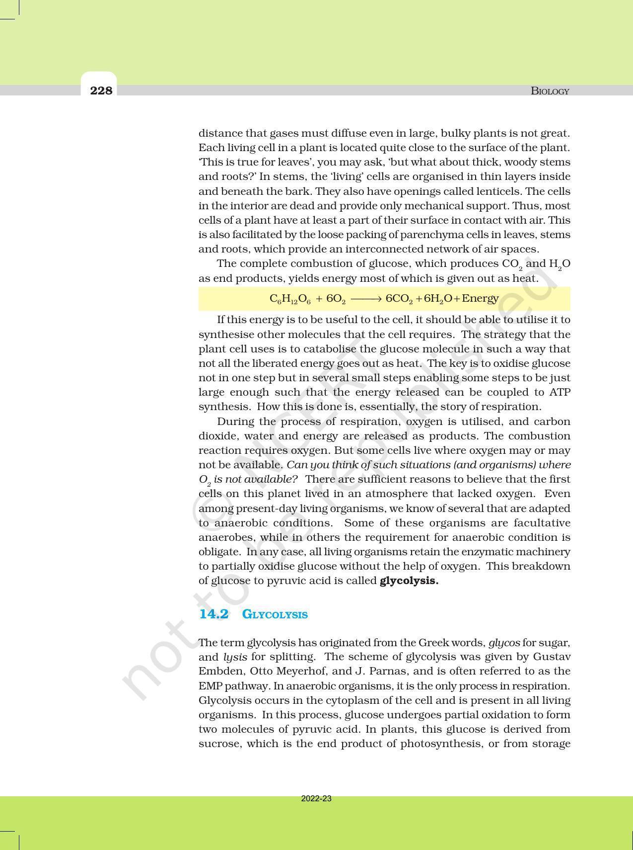 NCERT Book for Class 11 Biology Chapter 14 Respiration in Plants