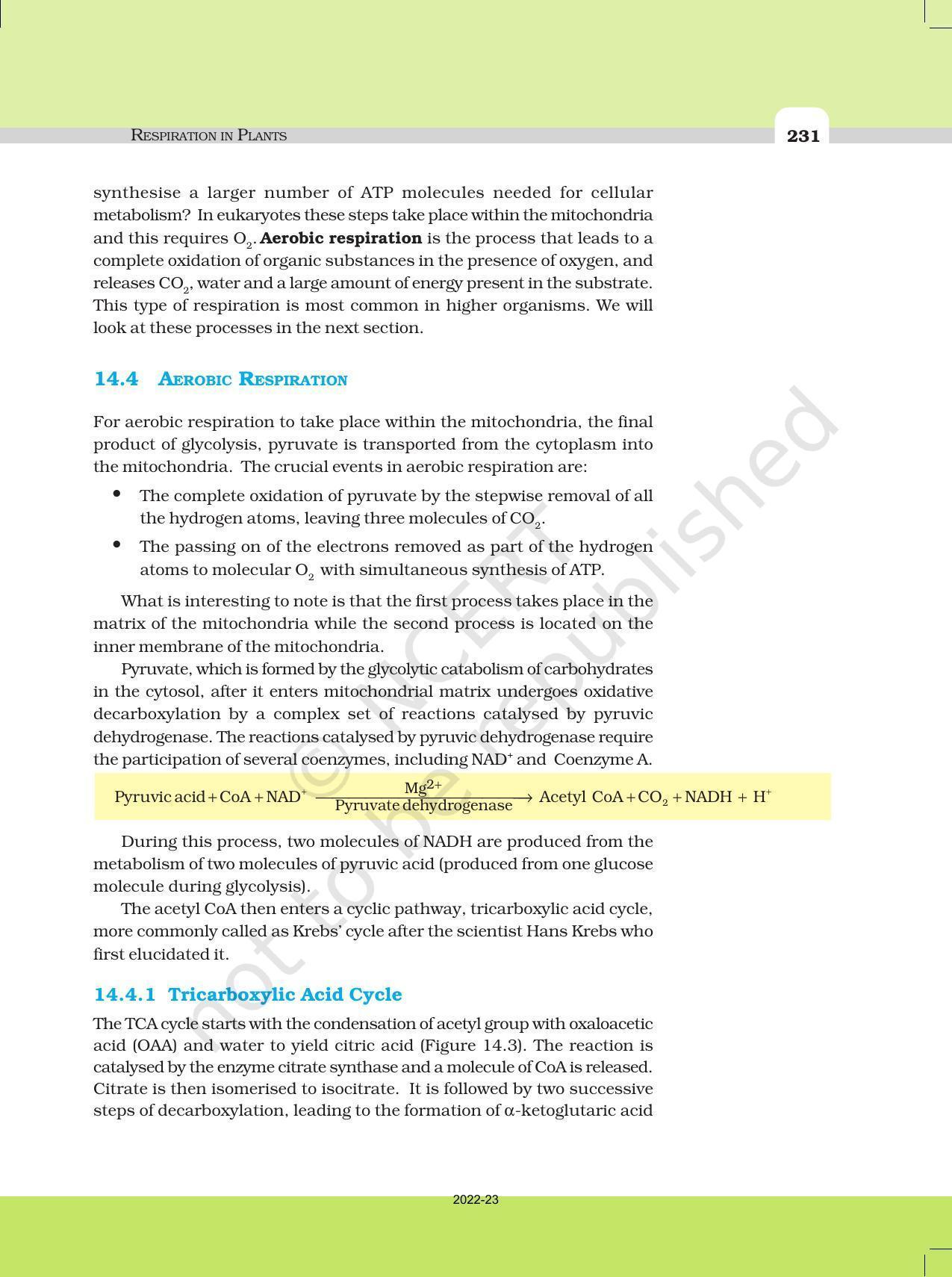 NCERT Book for Class 11 Biology Chapter 14 Respiration in Plants