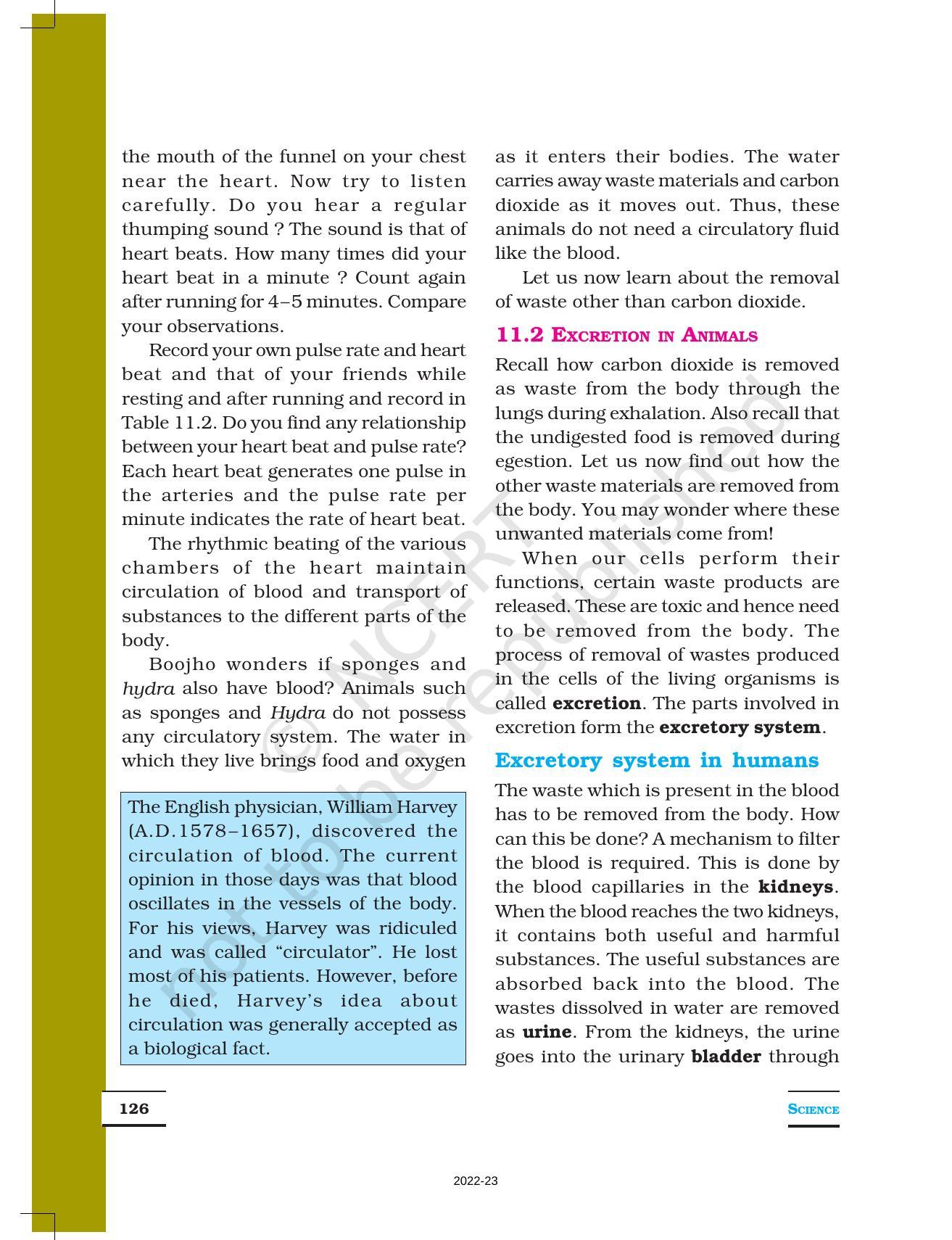 NCERT Book for Class 7 Science: Chapter 11-Transportation in Animals ...
