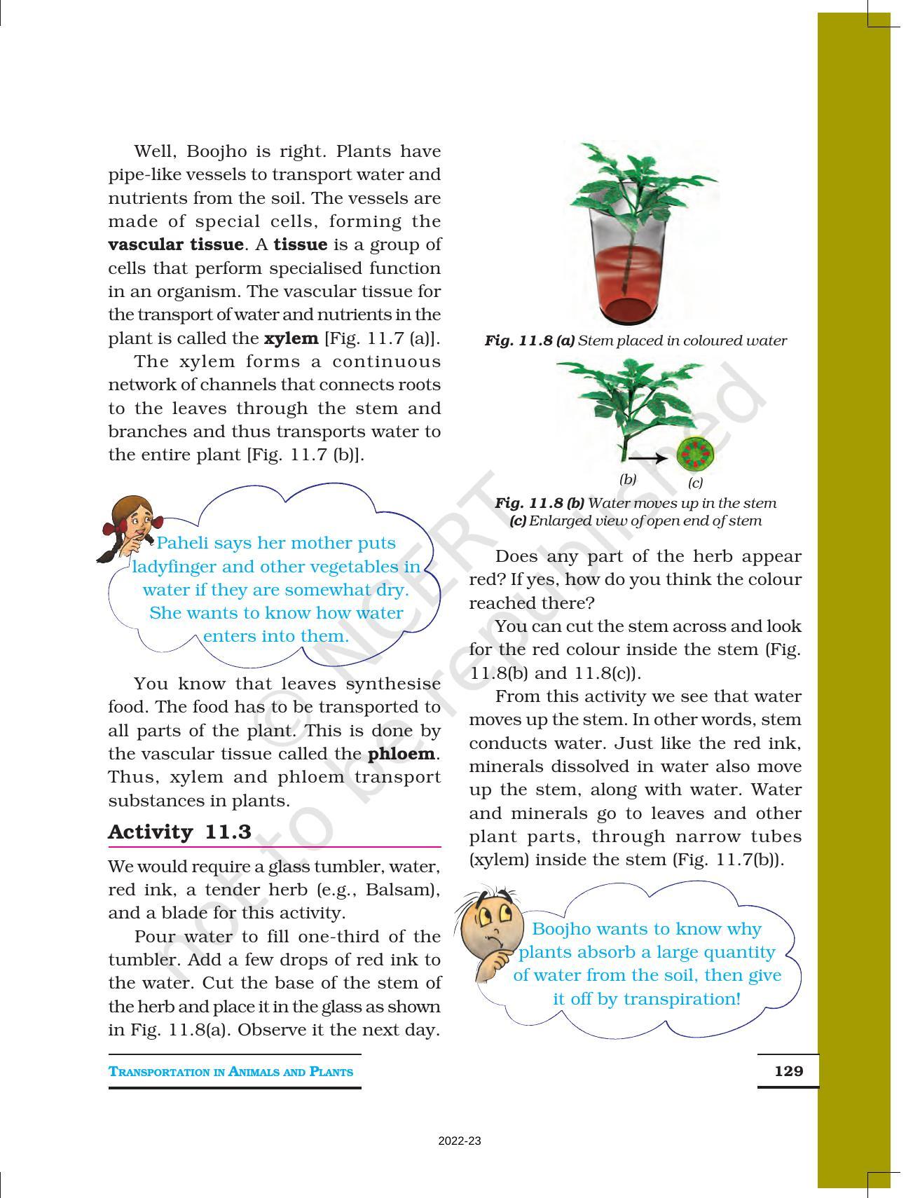 NCERT Book for Class 7 Science: Chapter 11-Transportation in Animals ...