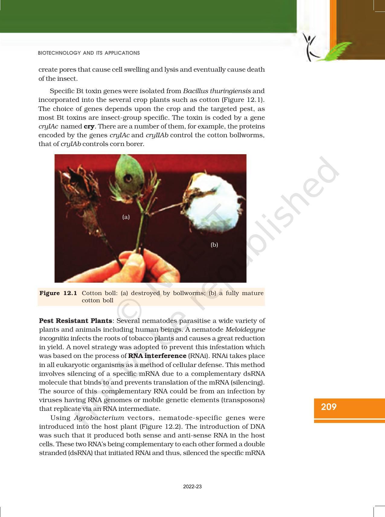 NCERT Book for Class 12 Biology Chapter 12 Biotechnology: and its ...