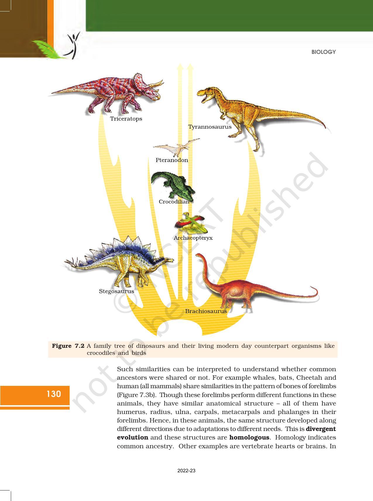 NCERT Book for Class 12 Biology Chapter 7 Evolution - IndCareer Docs