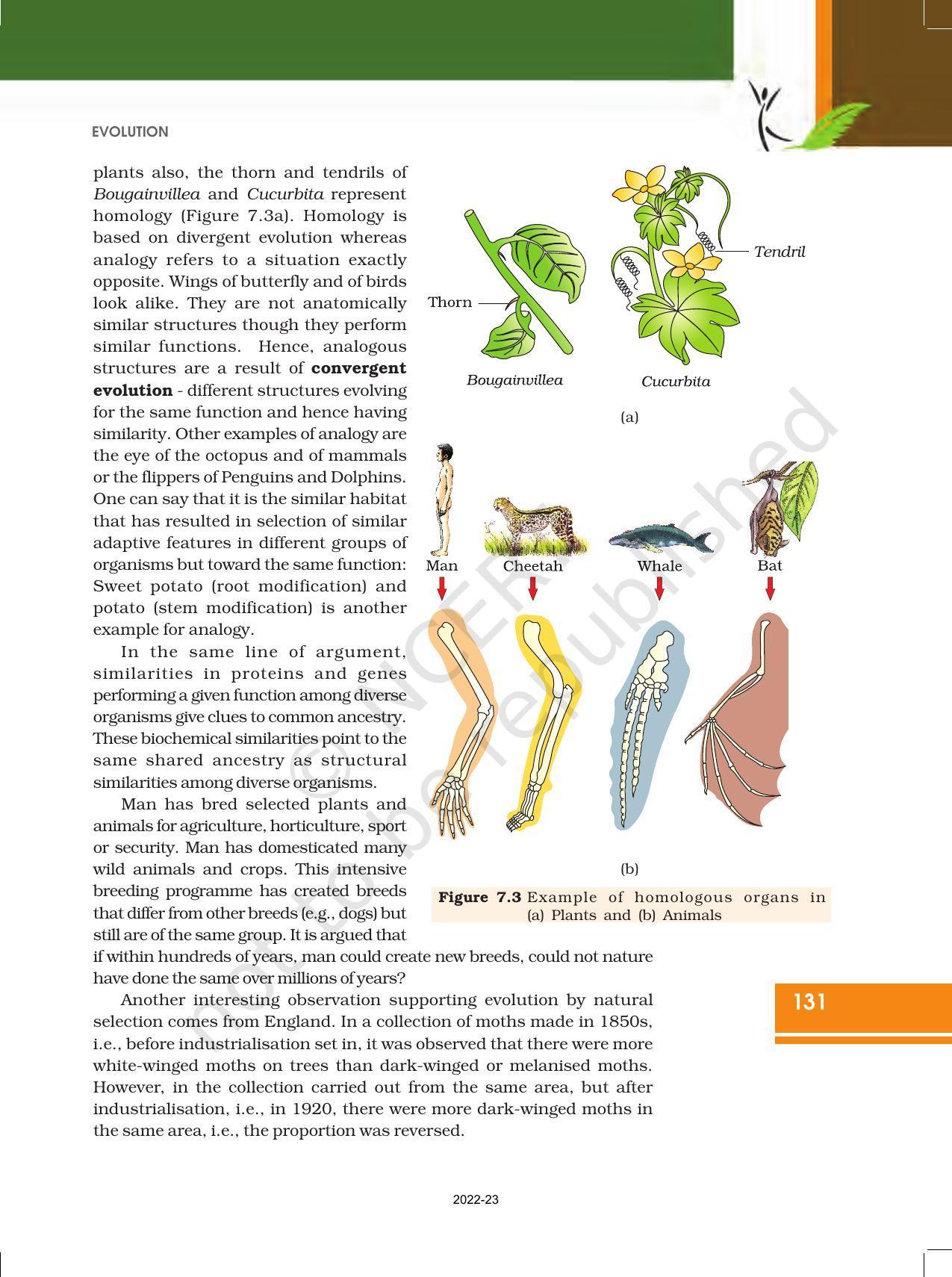 NCERT Book for Class 12 Biology Chapter 7 Evolution - IndCareer Docs