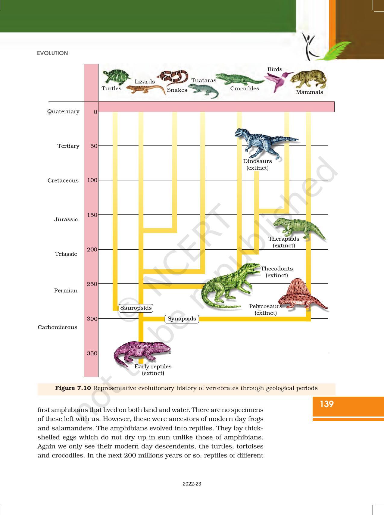 NCERT Book for Class 12 Biology Chapter 7 Evolution - IndCareer Docs