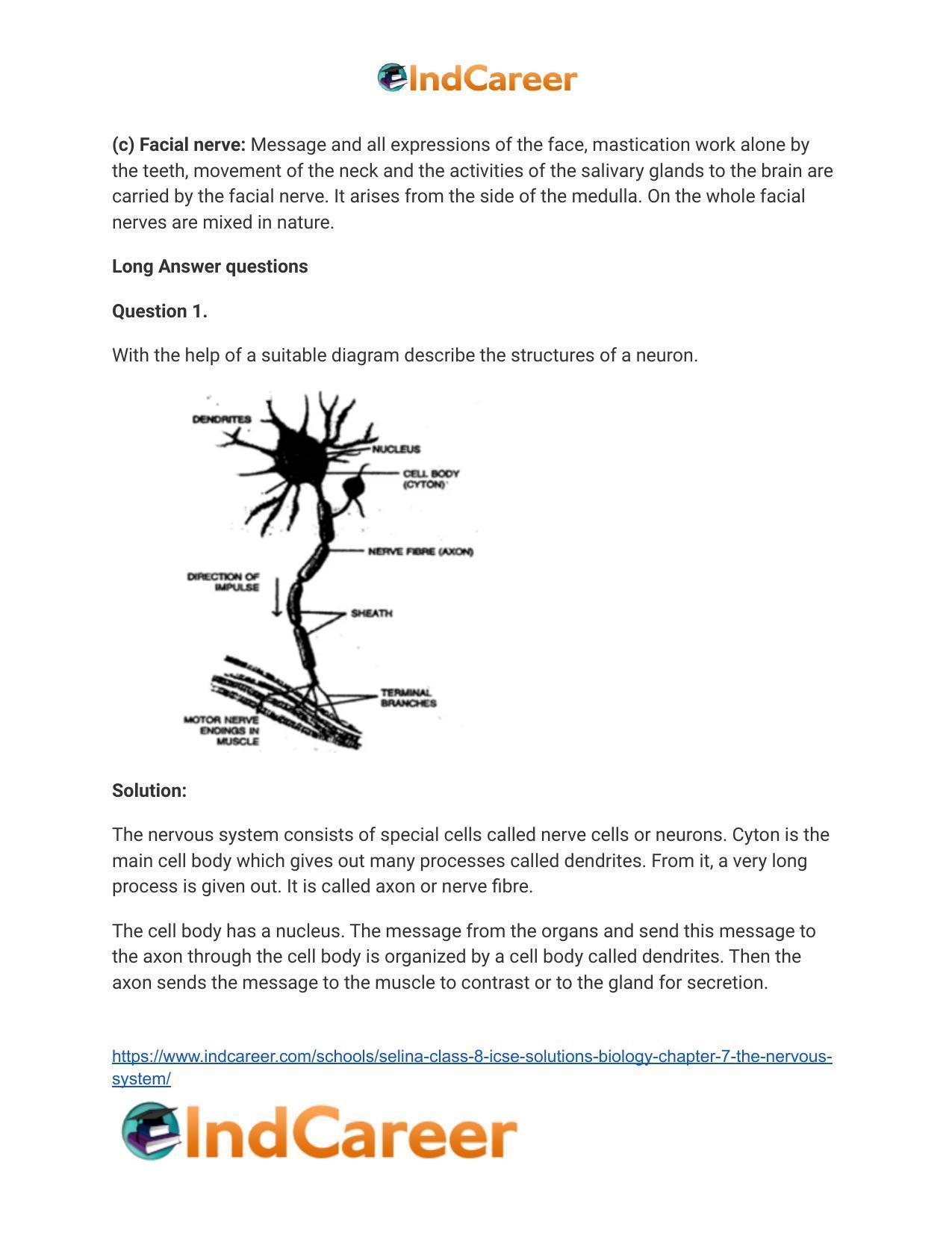 Selina Class 8 ICSE Solutions Biology : Chapter 7- The Nervous System ...