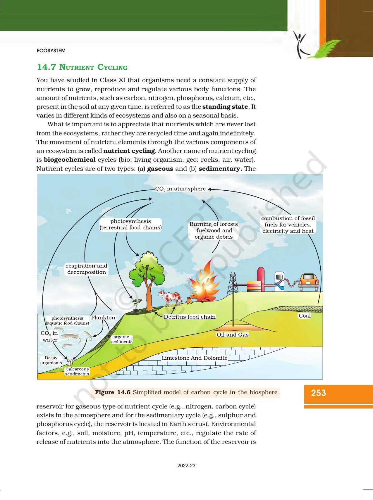 NCERT Book for Class 12 Biology Chapter 14 Ecosystem - IndCareer Docs