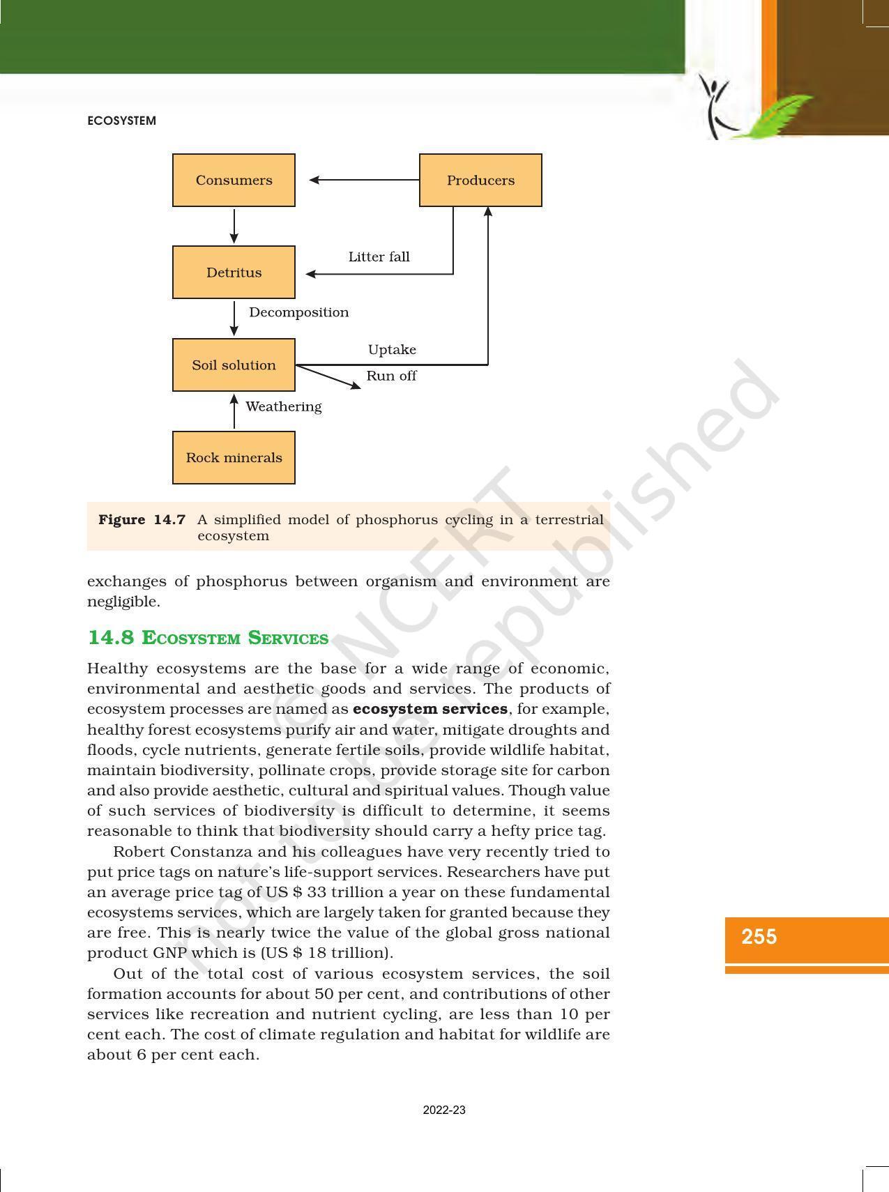 NCERT Book for Class 12 Biology Chapter 14 Ecosystem - IndCareer Docs