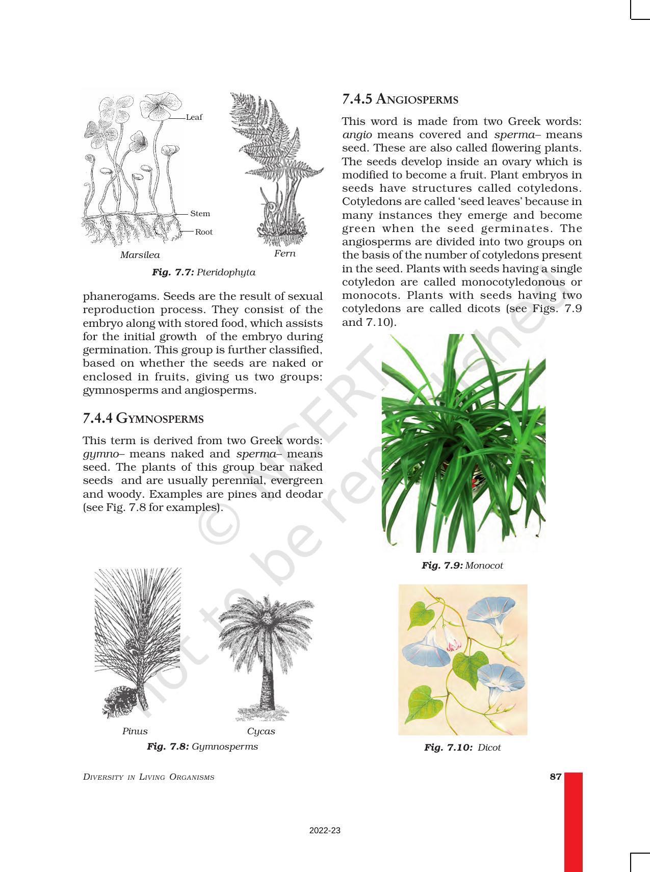 NCERT Book for Class 9 Science Chapter 7 Diversity in Living
