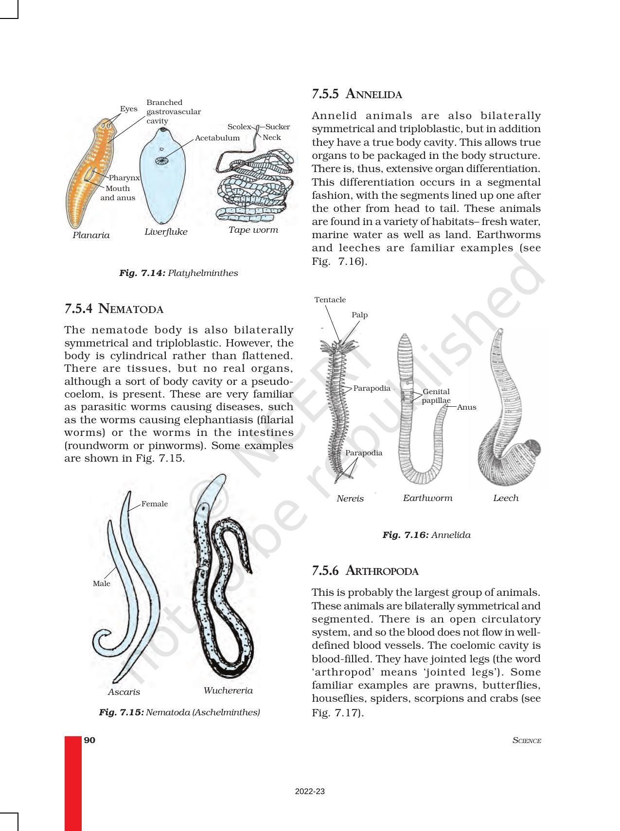 NCERT Book for Class 9 Science Chapter 7 Diversity in Living