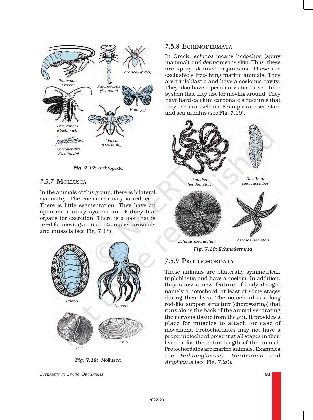 NCERT Book for Class 9 Science Chapter 7 Diversity in Living