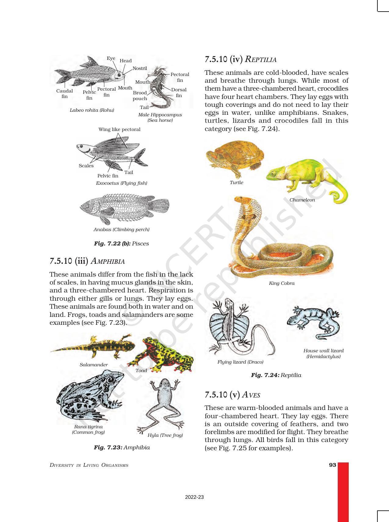 NCERT Book for Class 9 Science Chapter 7 Diversity in Living