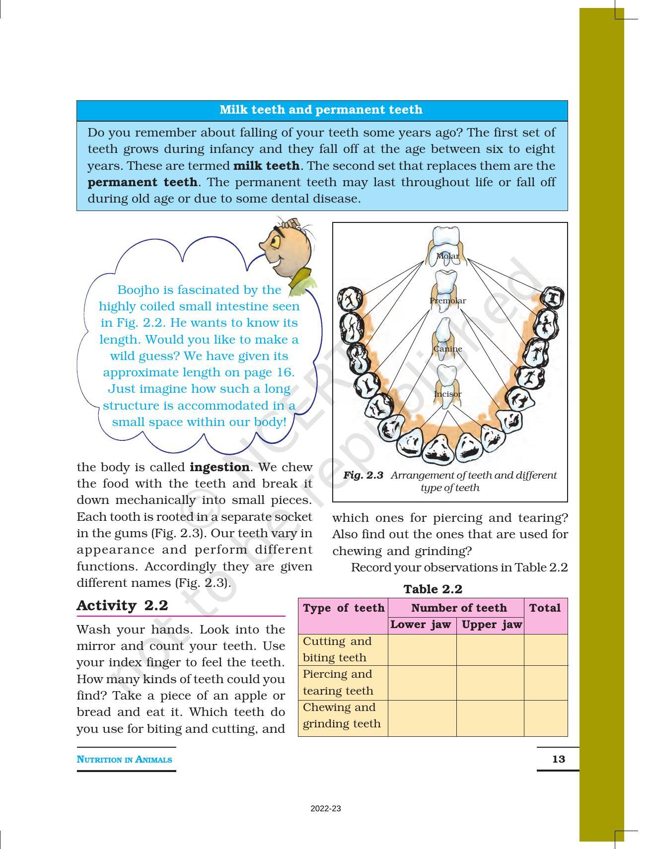 NCERT Book for Class 7 Science: Chapter 2-Nutrition in Animals ...