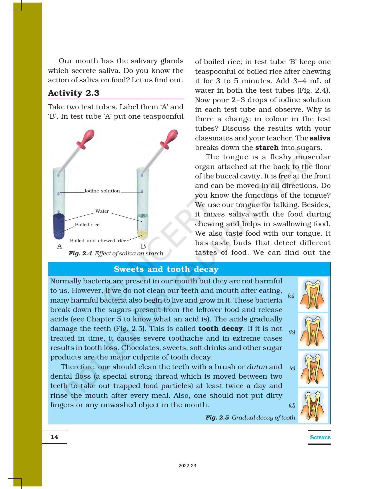 NCERT Book for Class 7 Science: Chapter 2-Nutrition in Animals ...