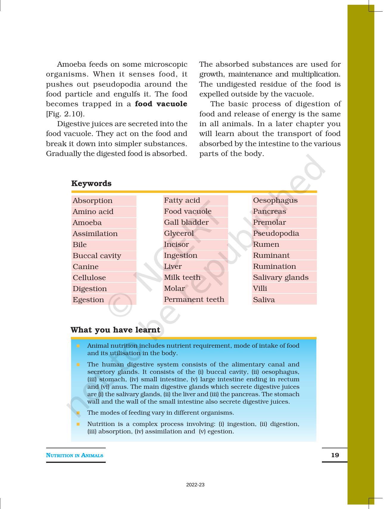 NCERT Book for Class 7 Science: Chapter 2-Nutrition in Animals ...
