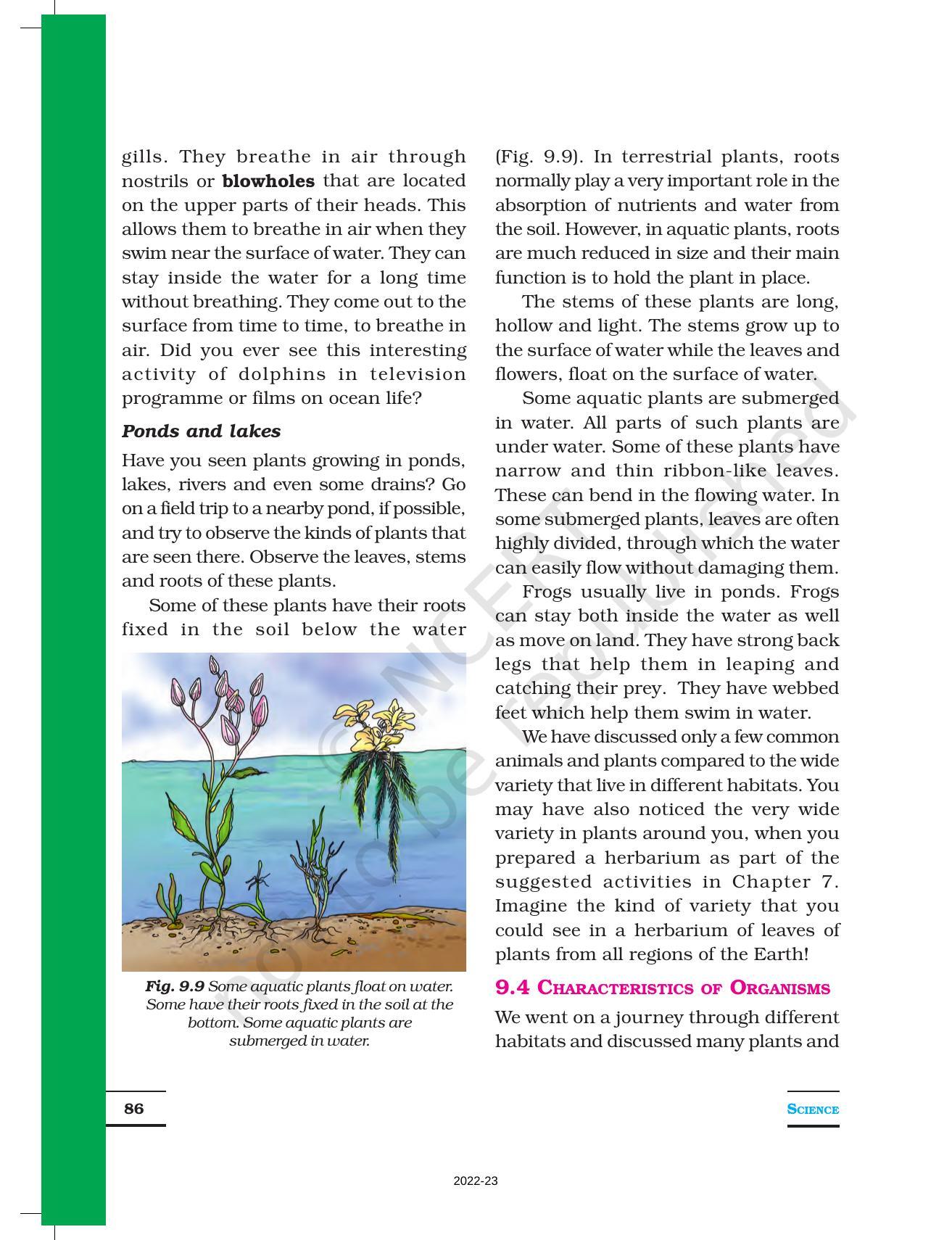 NCERT Book for Class 6 Science: Chapter 9-The Living Organisms and ...