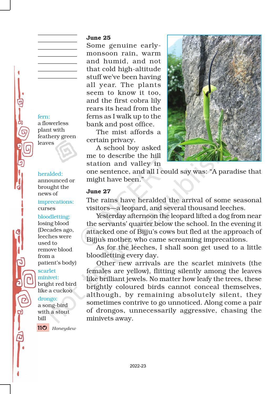 NCERT Book for Class 8 English Chapter 8 A Short Monsoon Diary