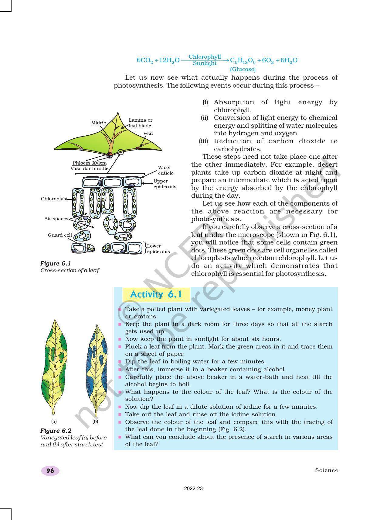 Ncert Book For Class 10 Science Chapter 6 Life Processes