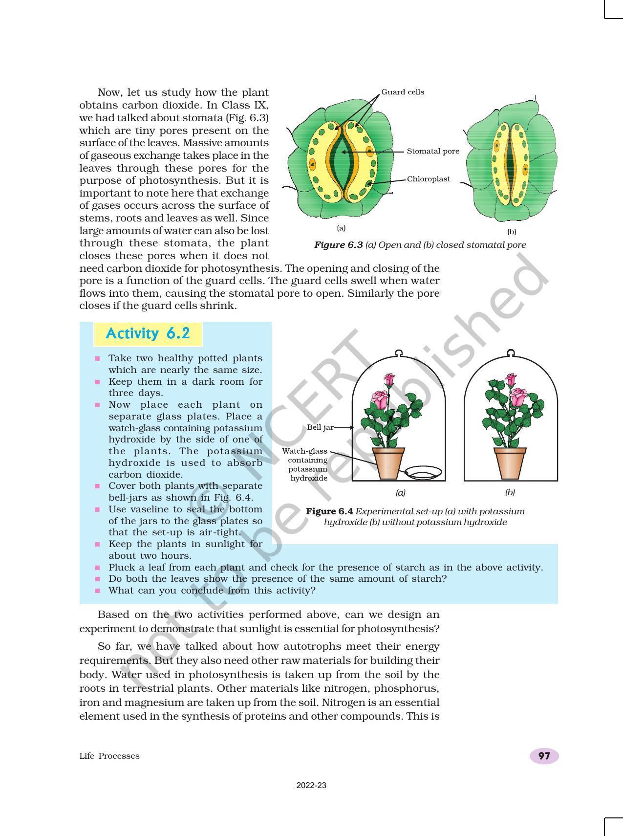 Ncert Book For Class 10 Science Chapter 6 Life Processes