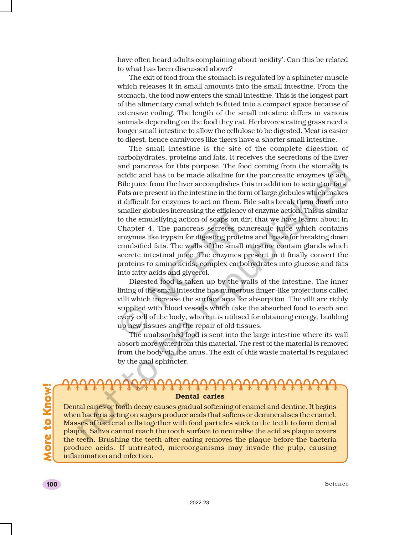 Ncert Book For Class 10 Science Chapter 6 Life Processes