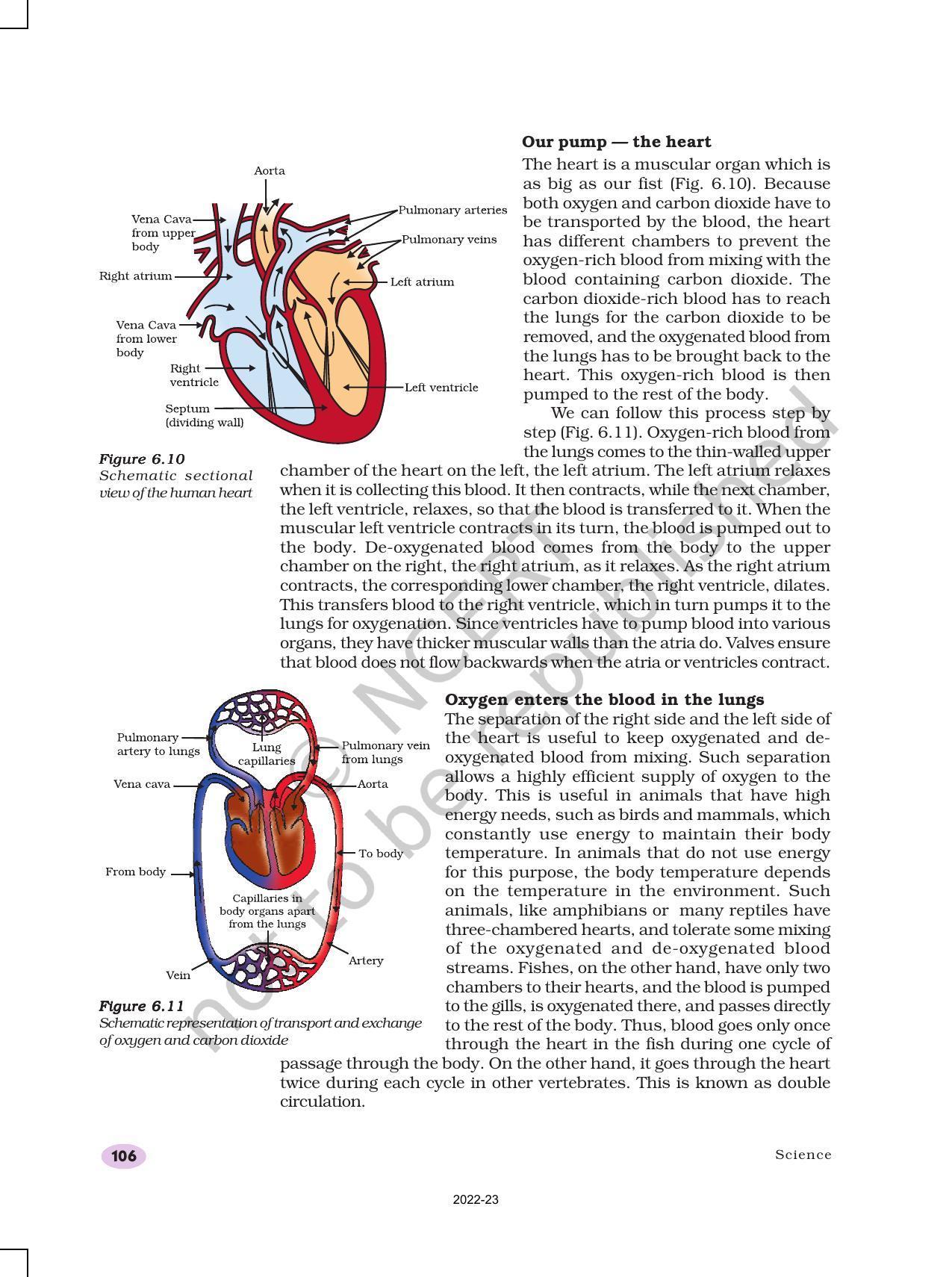 Ncert Book For Class 10 Science Chapter 6 Life Processes