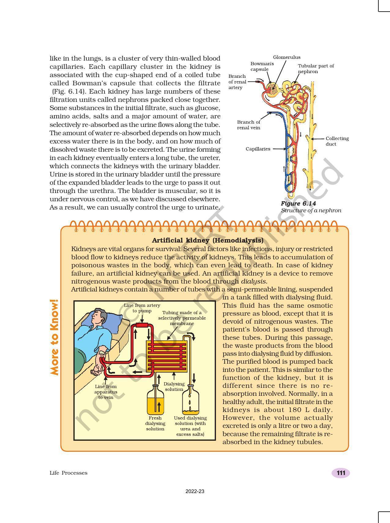 Ncert Book For Class 10 Science Chapter 6 Life Processes
