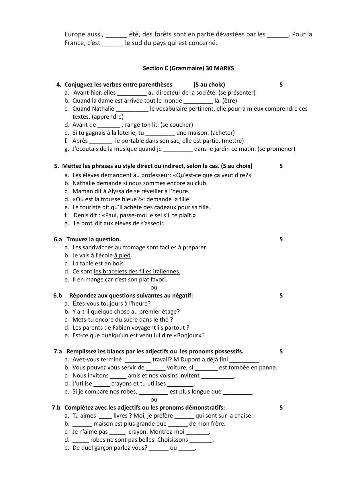 CBSE Class 10 French Sample Papers 2023 - IndCareer Docs