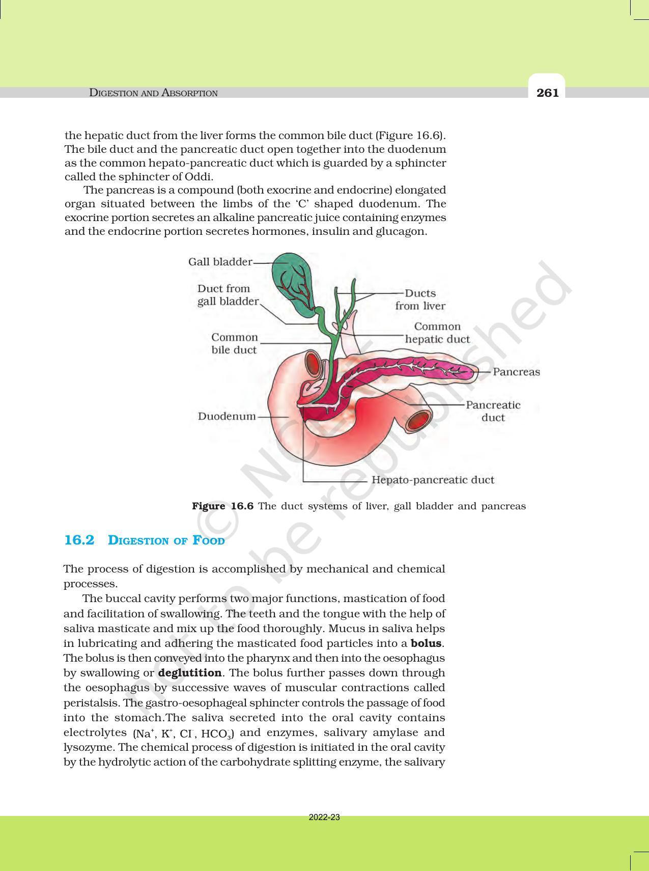 NCERT Book for Class 11 Biology Chapter 16 Digestion