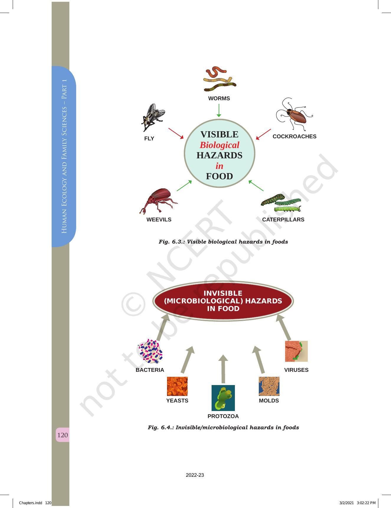 NCERT Book for Class 12 Home Science Chapter 6 Food Quality