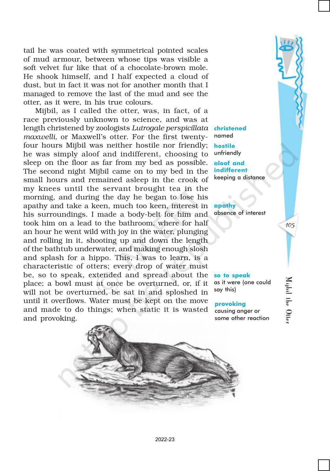 NCERT Book for Class 10 English Chapter 8 Mijbil the Otter