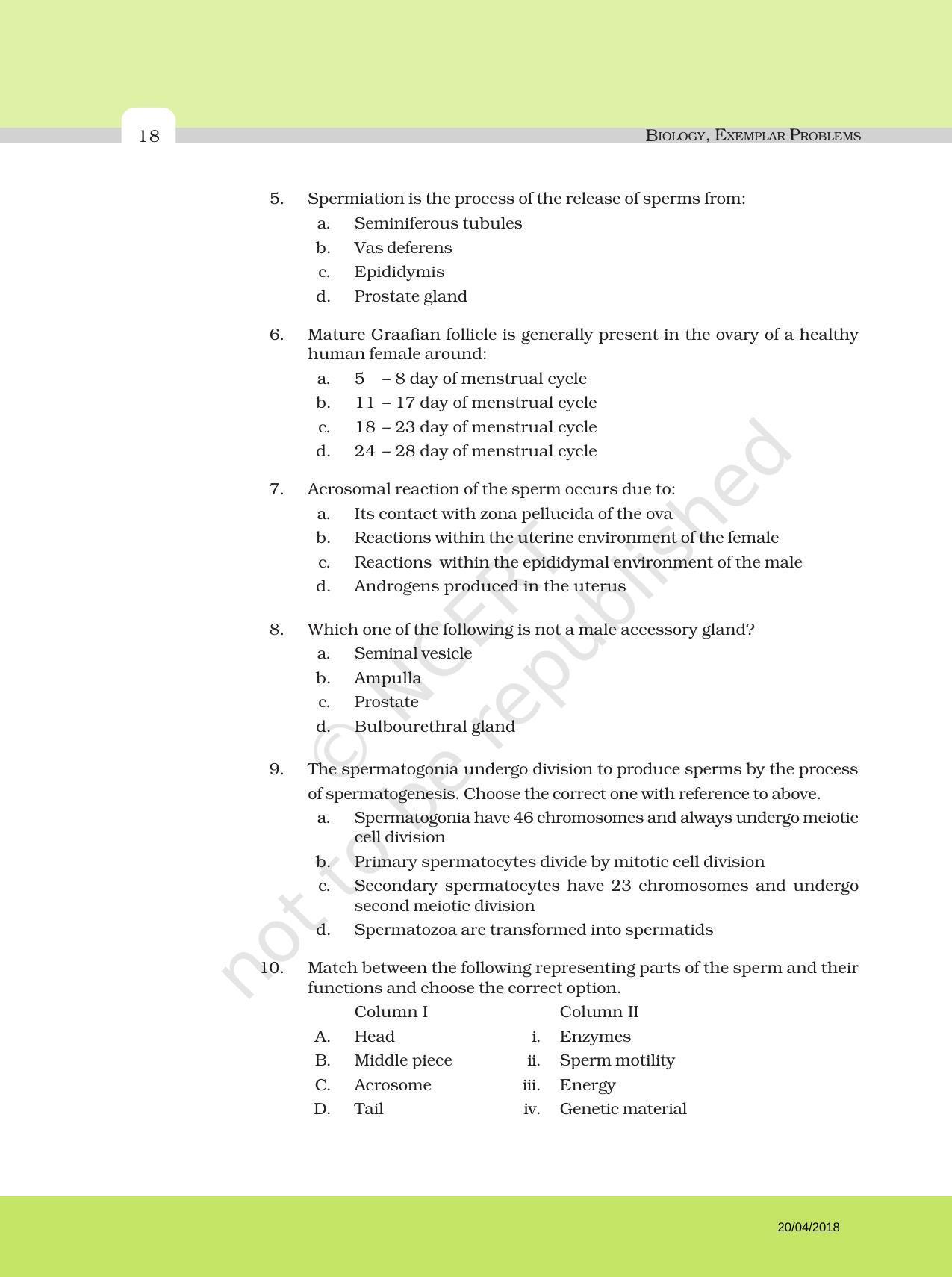 NCERT Exemplar Book for Class 12 Biology Chapter 3 Human Reproduction
