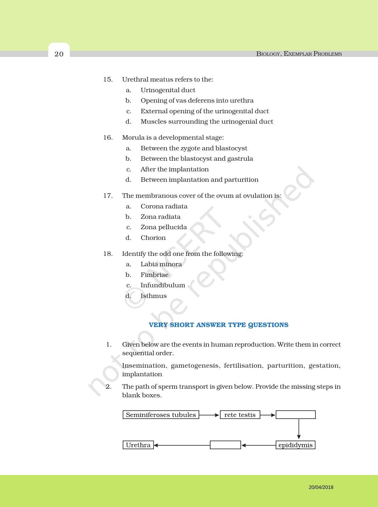 NCERT Exemplar Book for Class 12 Biology Chapter 3 Human Reproduction