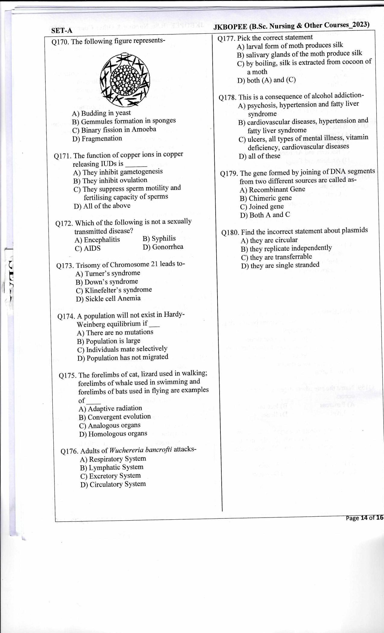 JKBOPEE B.Sc Nursing 2023 Question Papers - IndCareer Docs