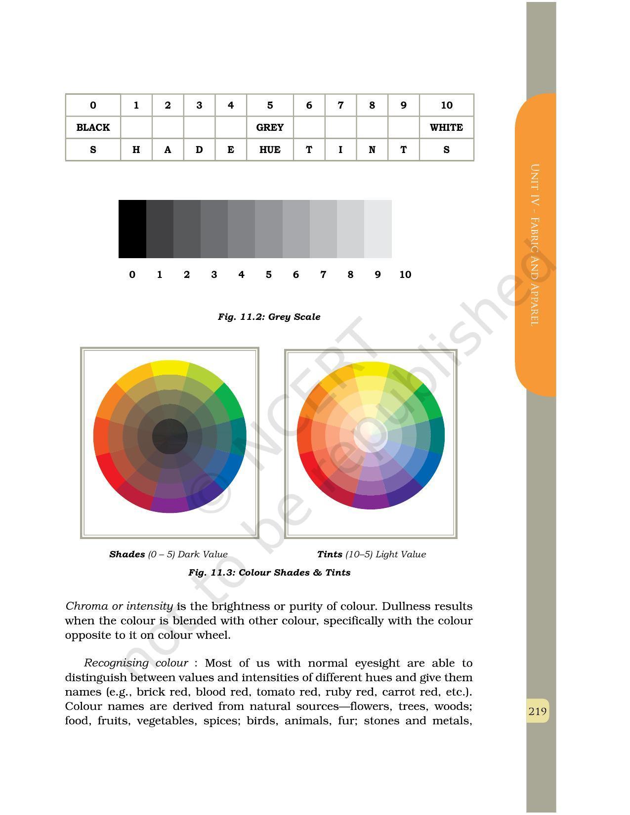 NCERT Book for Class 12 Home Science Chapter 11 Design