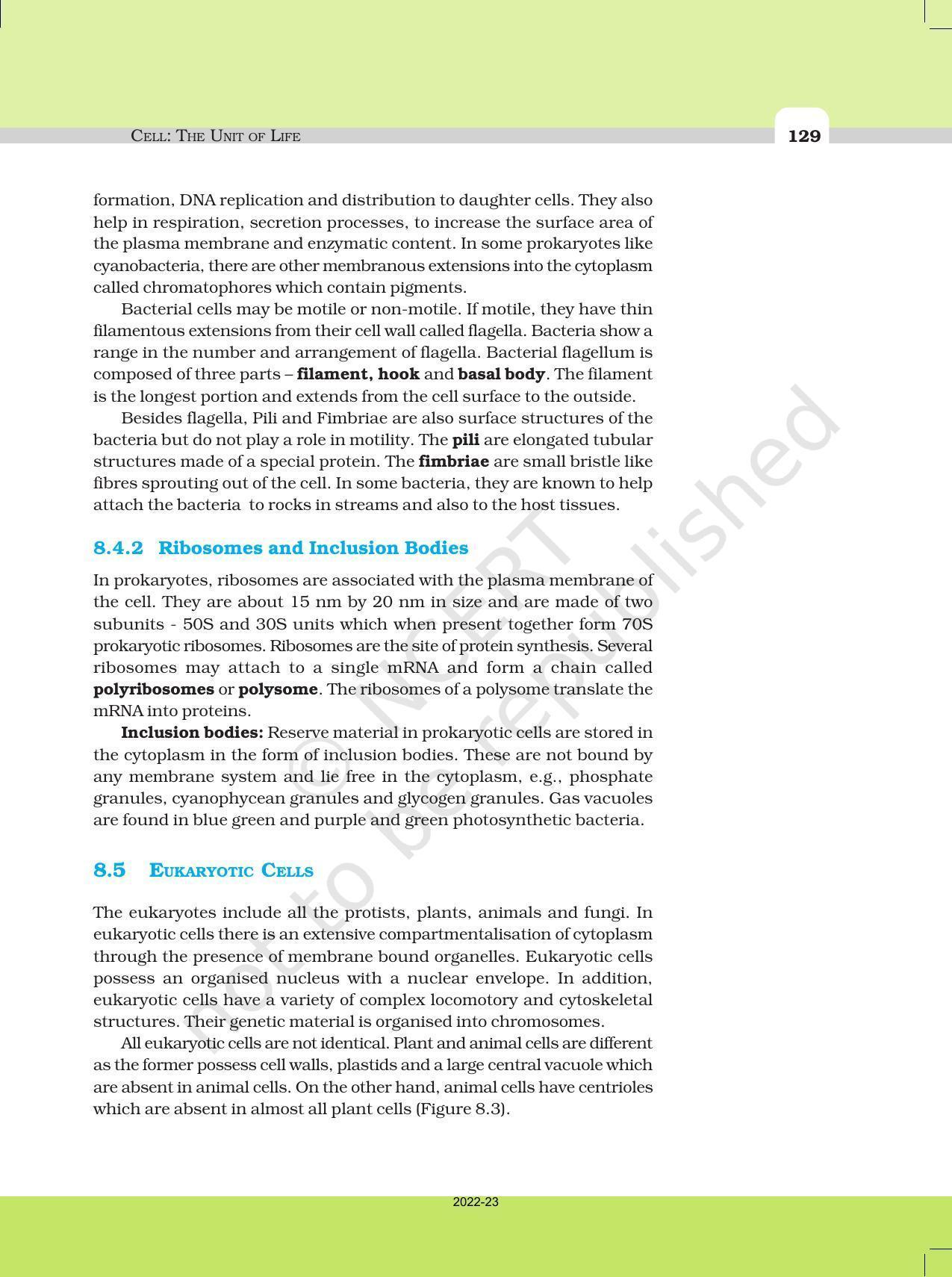 NCERT Book for Class 11 Biology Chapter 8 Cell: The Unit of Life
