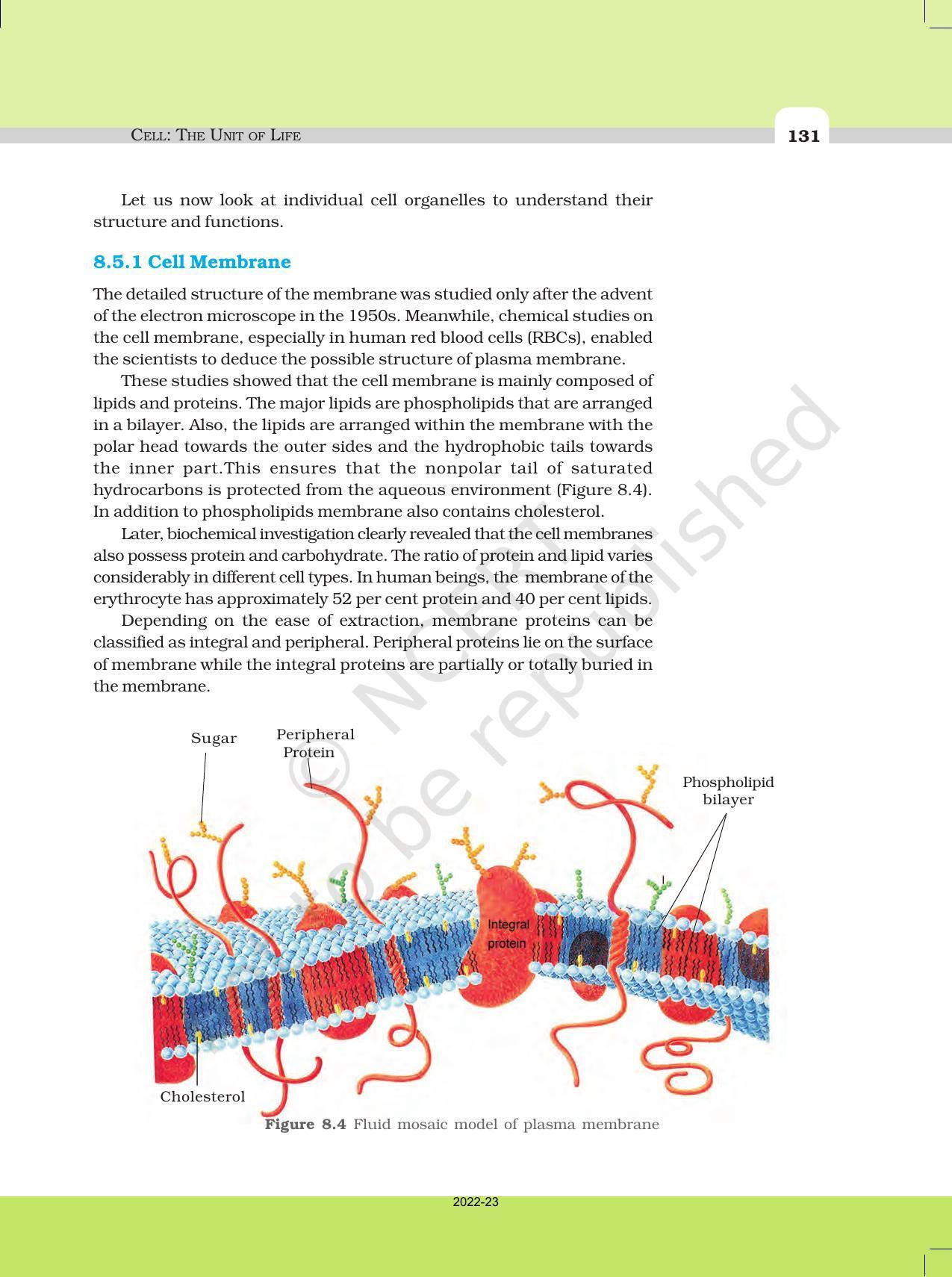 NCERT Book for Class 11 Biology Chapter 8 Cell: The Unit of Life