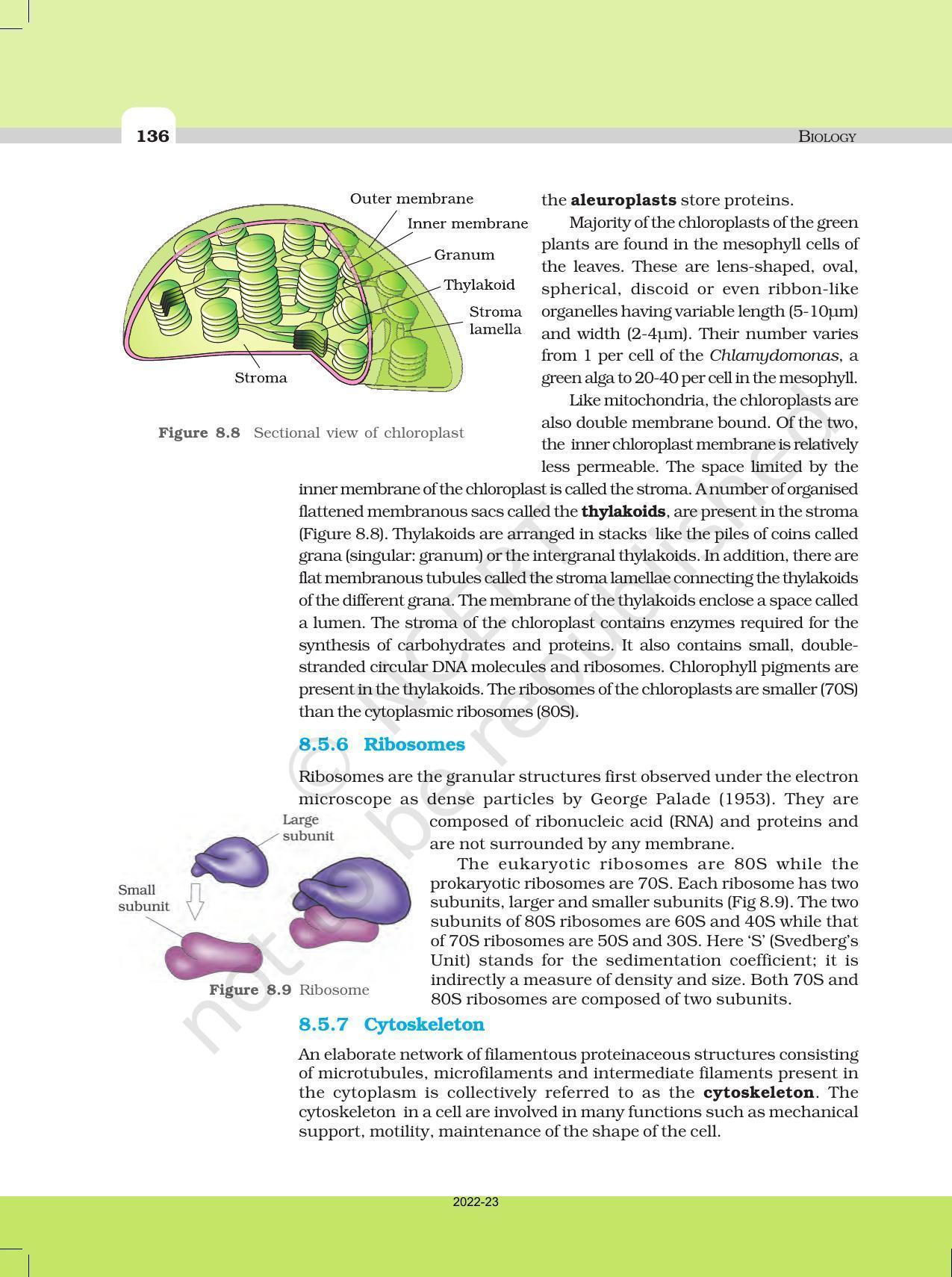 NCERT Book for Class 11 Biology Chapter 8 Cell: The Unit of Life