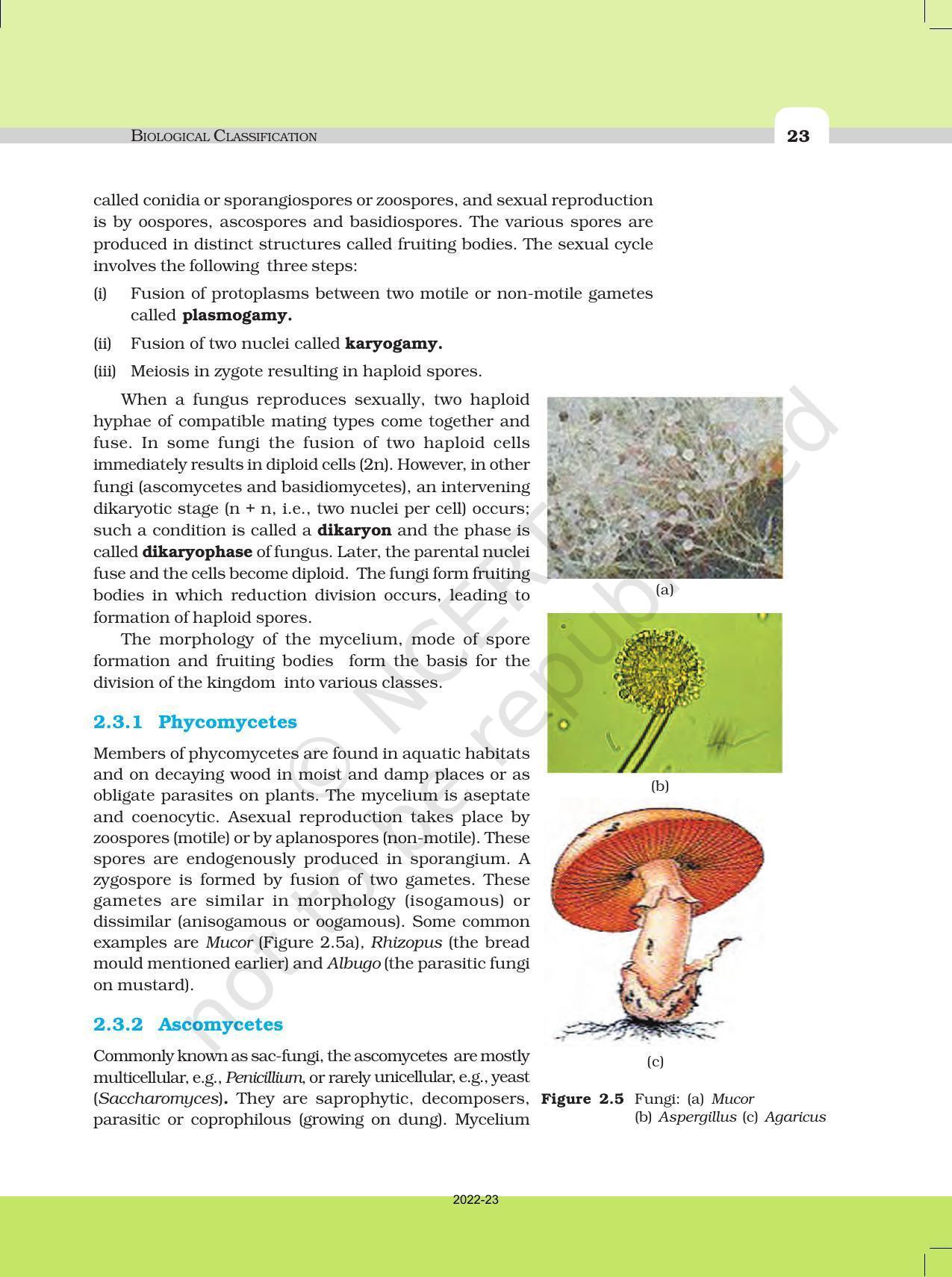 NCERT Book for Class 11 Biology Chapter 2 Biological