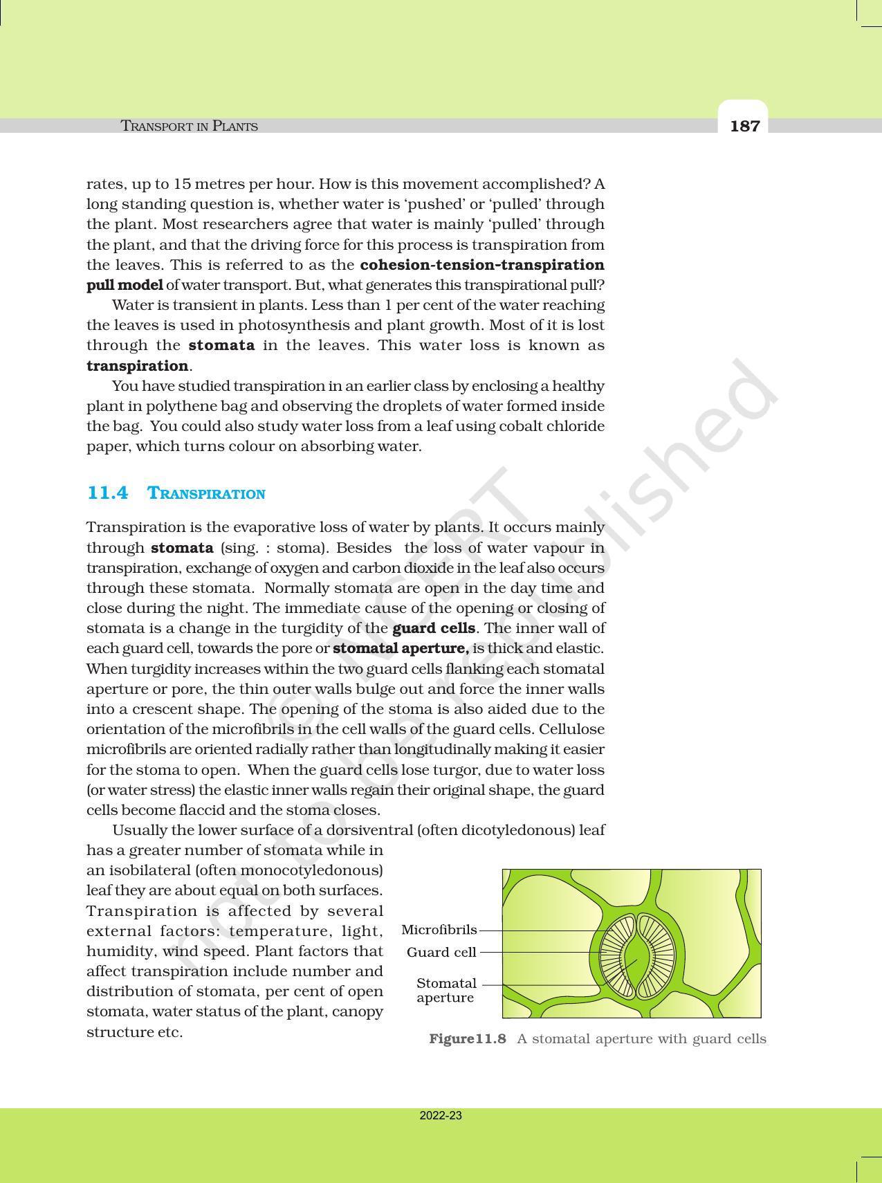 NCERT Book for Class 11 Biology Chapter 11 Transport in Plants