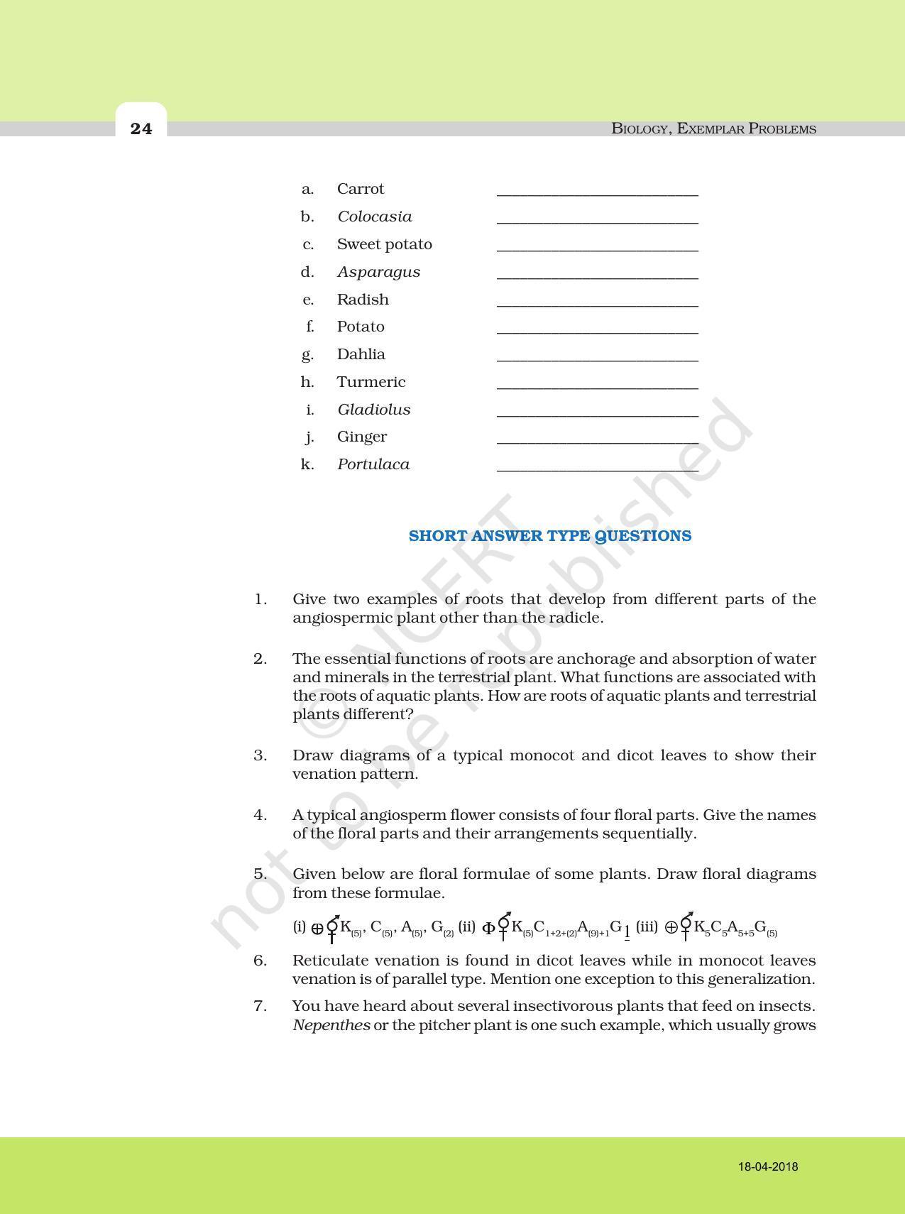 NCERT Exemplar Book for Class 11 Biology Chapter 5 Morphology of ...