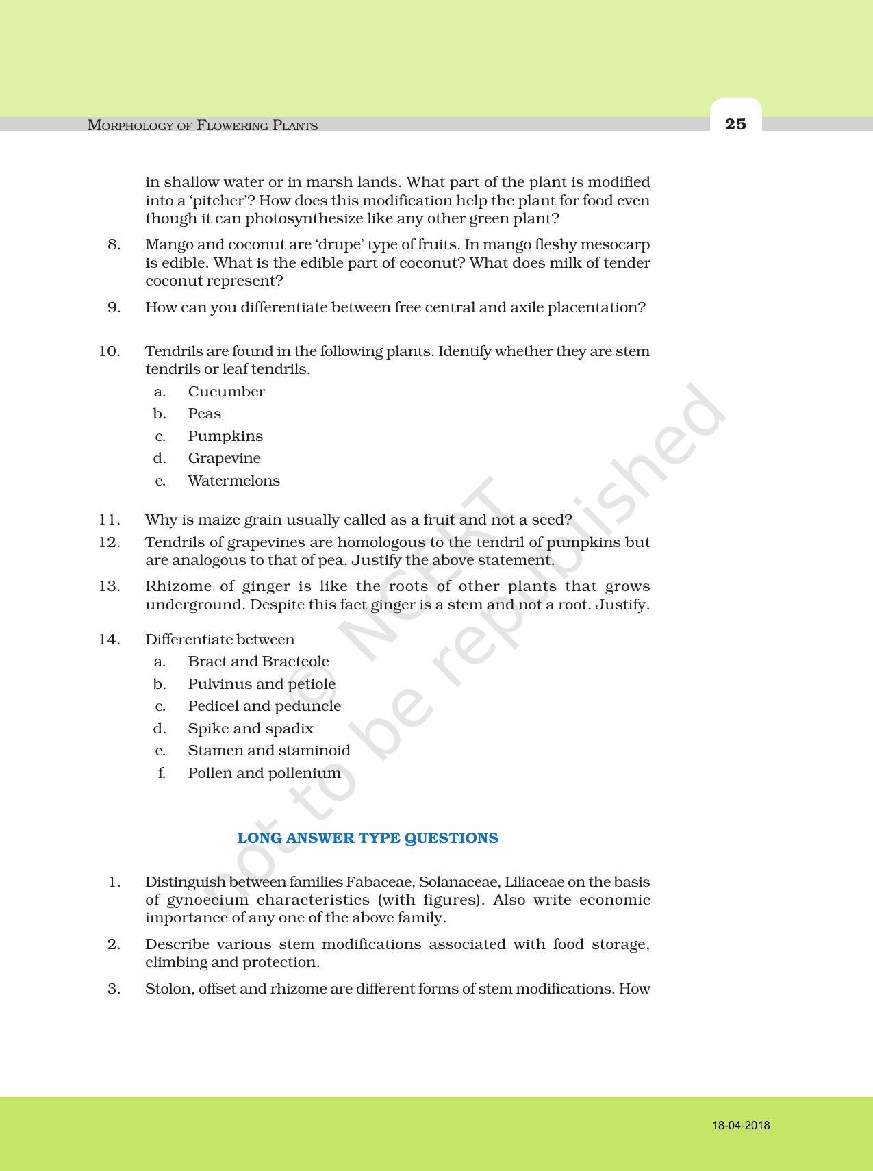 NCERT Exemplar Book for Class 11 Biology Chapter 5 Morphology of ...