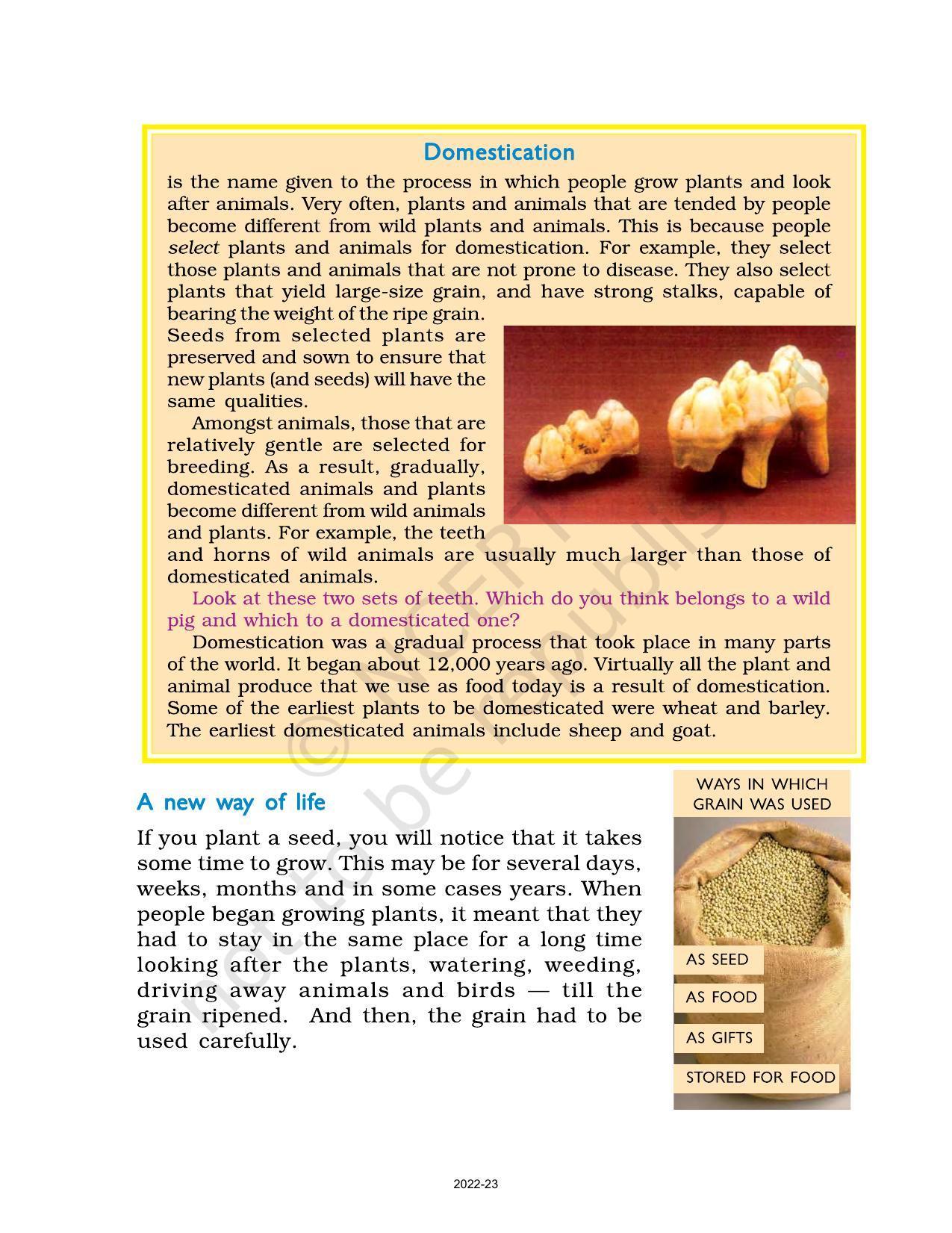 NCERT Book for Class 6 Social Science(History) : Chapter 2-On the Trail ...
