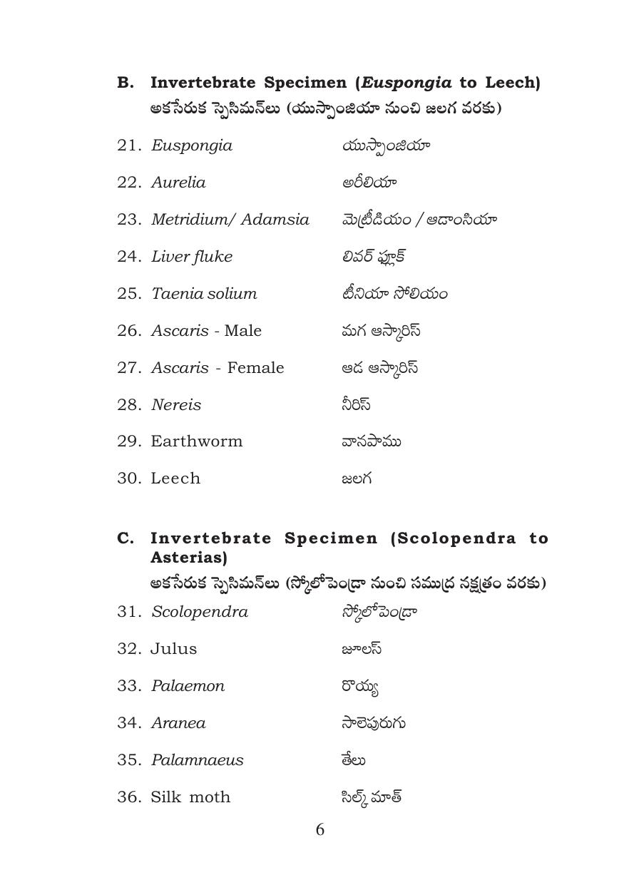 TS Intermediate Zoology Practicals Model Question Paper - IndCareer Docs