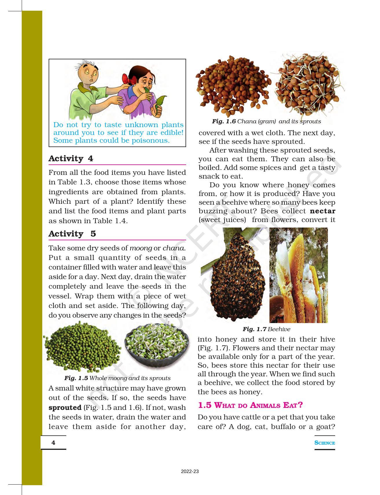 Ncert Book For Class 6 Science Chapter 1 Food Where Does It Come From